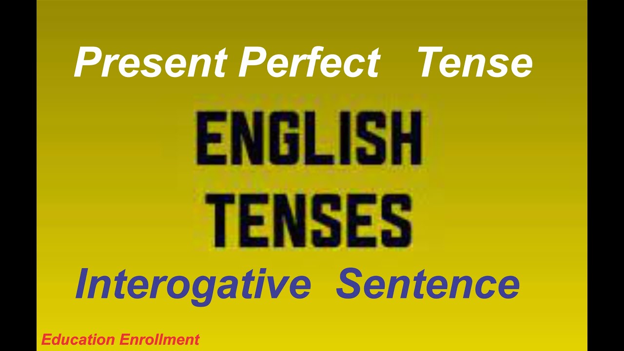 Present Perfect Tense, How To Use interrogative sentence - YouTube