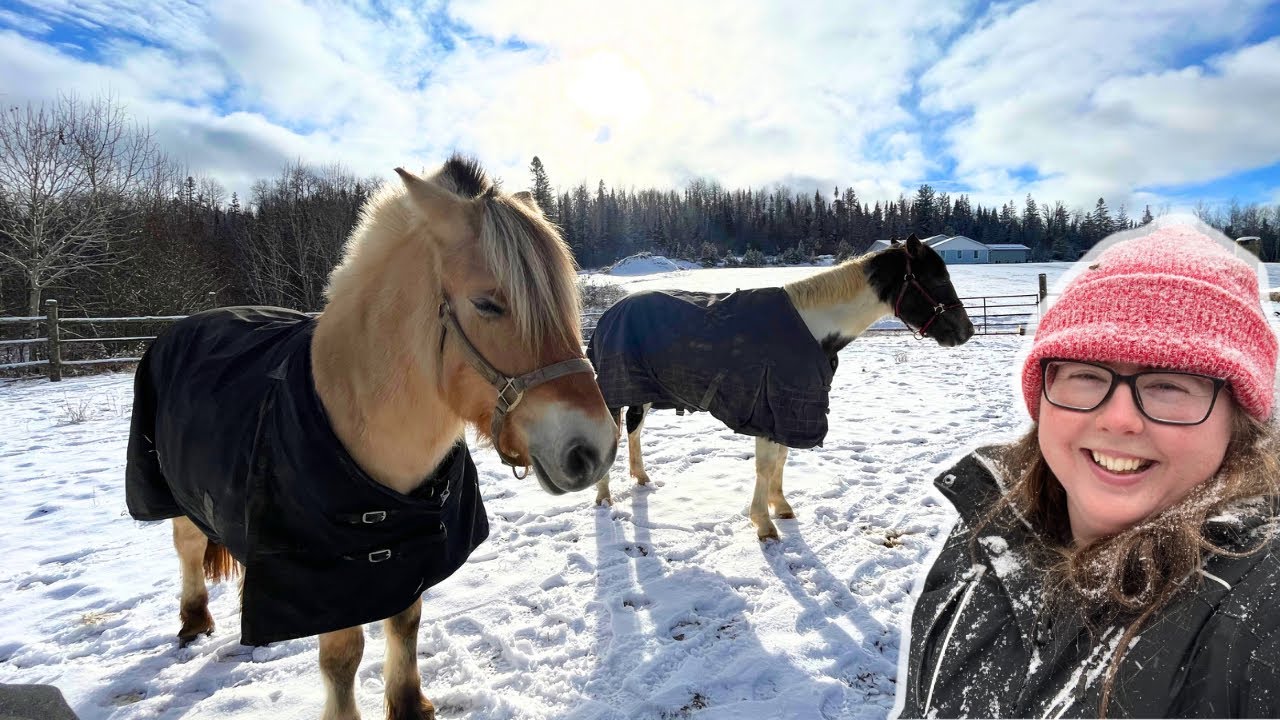 Chickens Have NO Teeth? Spending Time with Horses | VLOGMAS 2023 - YouTube