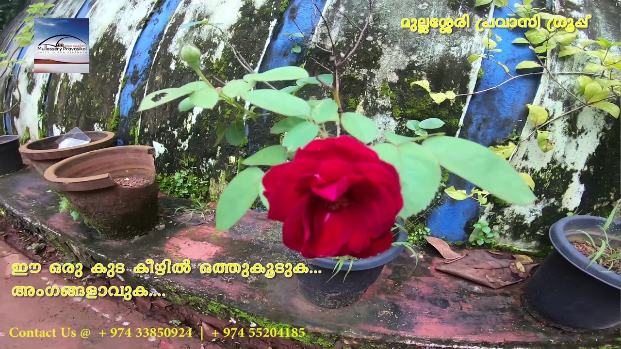 Mullassery Co operative Prevasi Group - YouTube