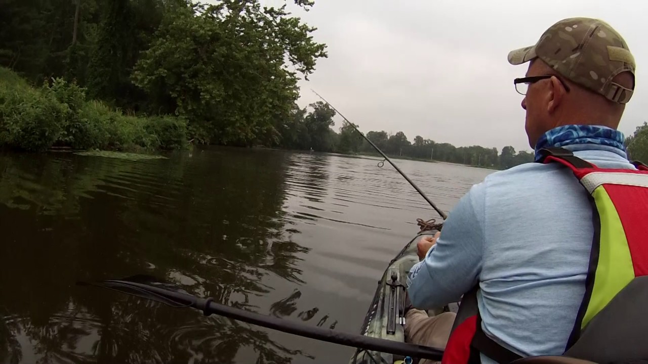 June 06 2017 Short Striking Top Water Fools - YouTube