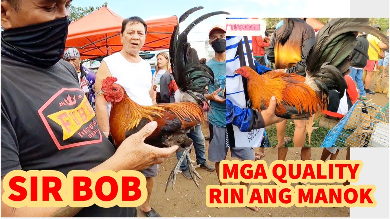 QUALITY ANG BENTAHAN NG MANOK DITO SA BOCAUE - YouTube