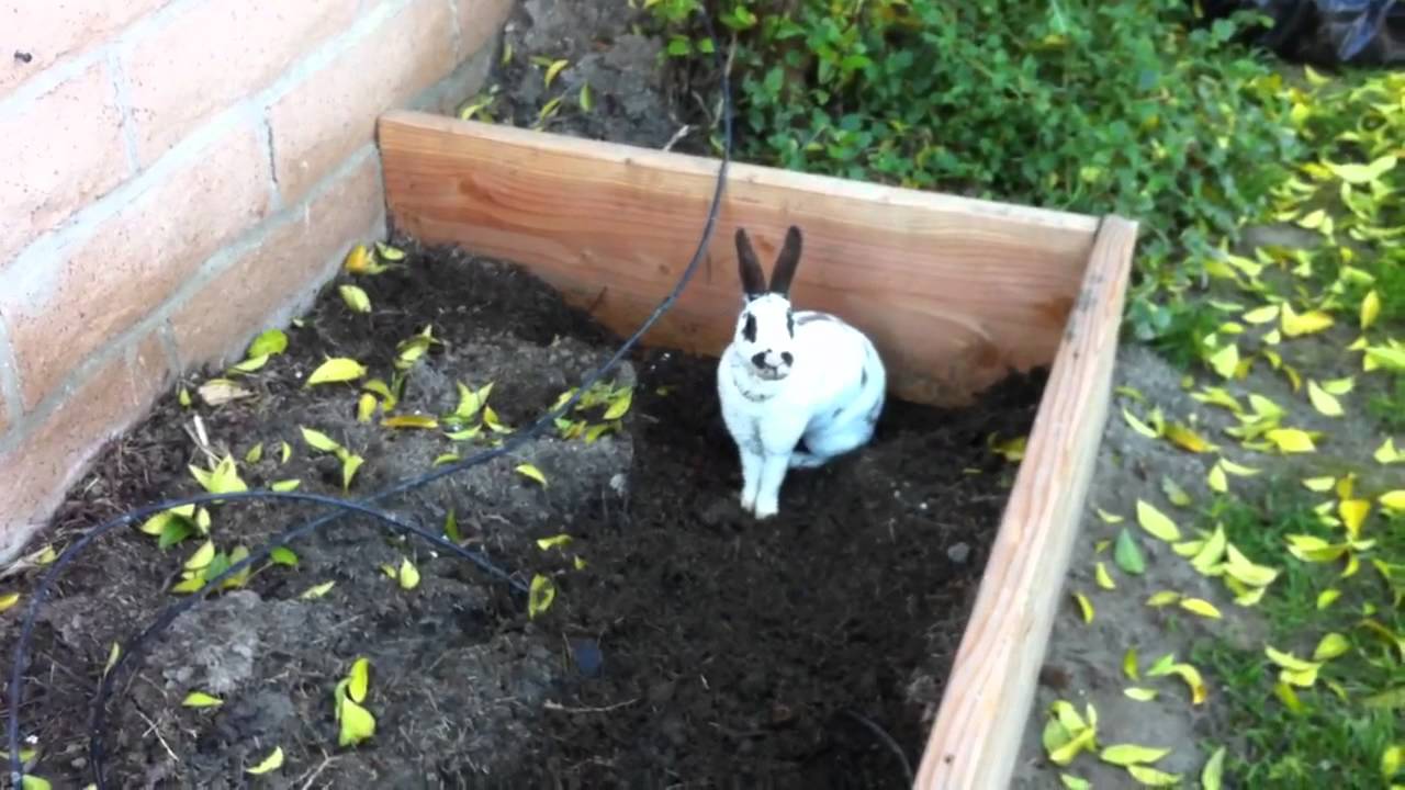 My poop factory! - YouTube