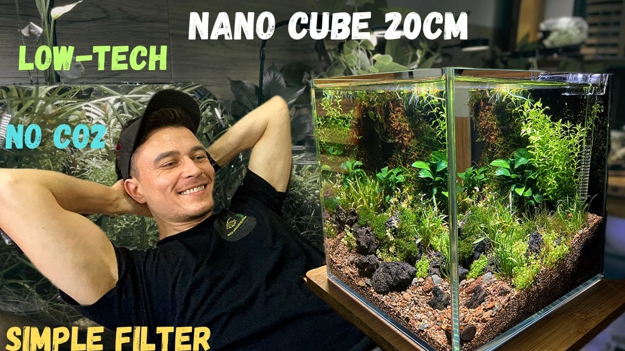 [AI VOICE] NANO LOW-TECH CUBE AQUARIUM 20CM | TUTORIAL | NO CO2 - YouTube