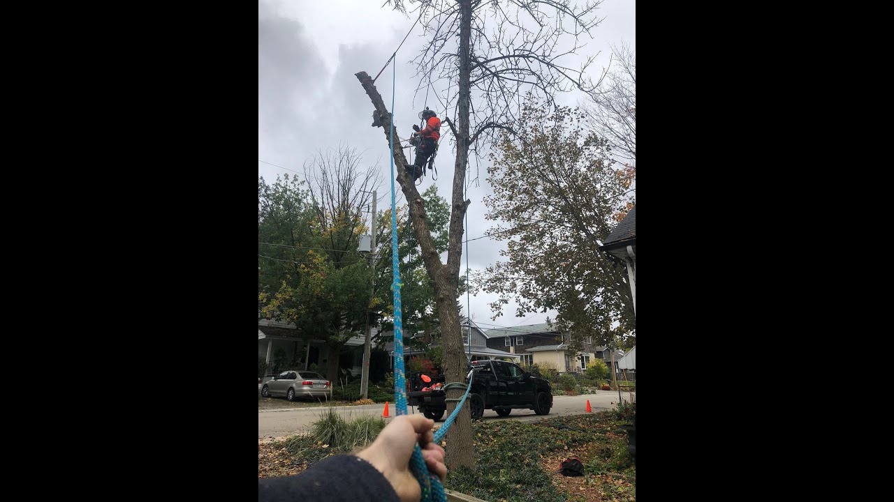 Spider Leg Rigging - YouTube