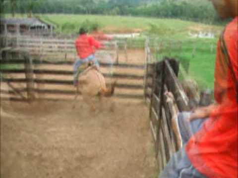 mula xucra bixada da nuca - YouTube