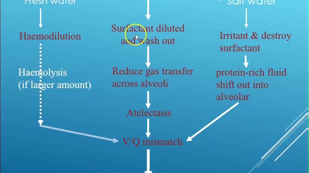 Pathophysiology 3: Aspiration - YouTube