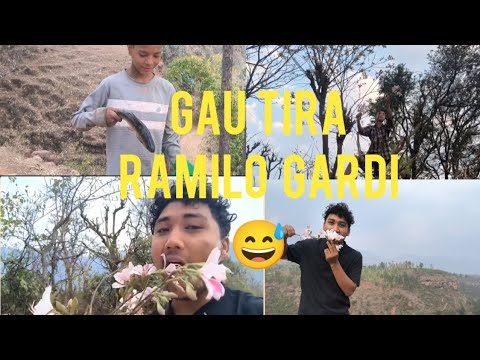 Gau Aako Ramilo Vayo 😁 | Vlog | pyuthan - YouTube