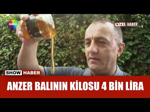Anzer balı altınla yarışıyor