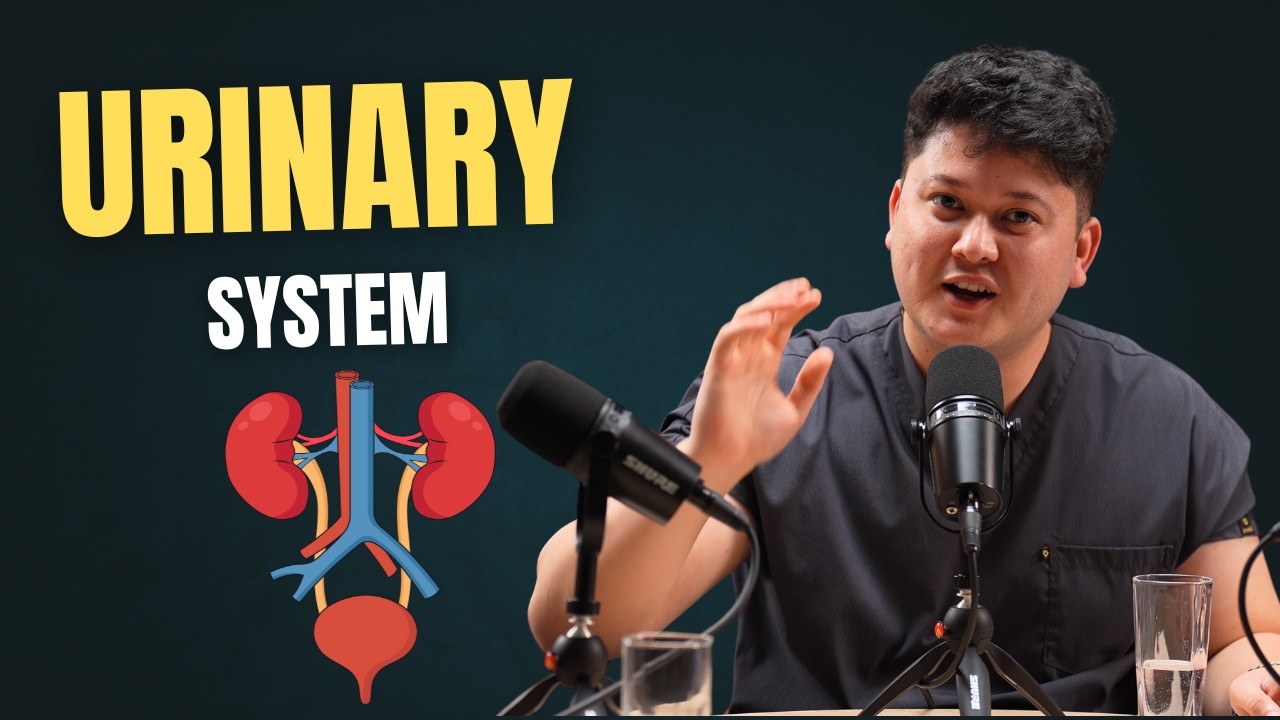 How Your Body Takes Out the Trash | Urinary System Explained! - YouTube