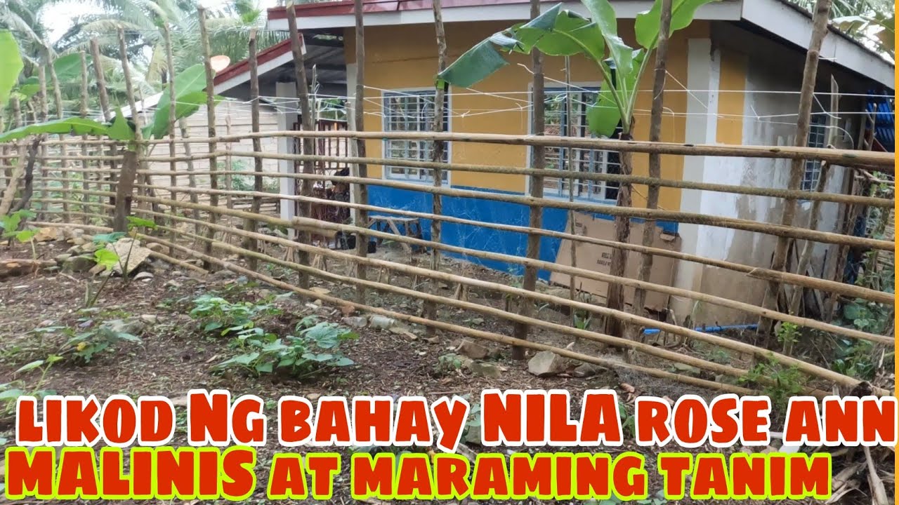 WOW LIKOD NG BAHAY NILA ROSE ANN MARAMING TANIM AT MALINIS | MASIPAG ...