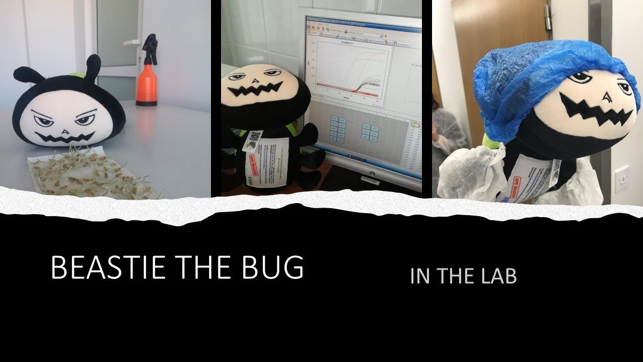 Beastie the Bug in the Lab - YouTube