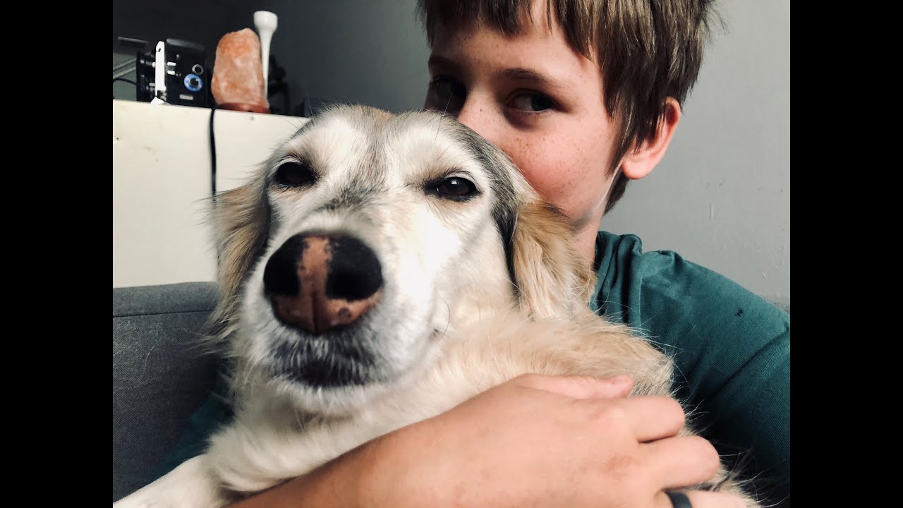 AUTOTUNE DOG | MAGGIE | 2020! - YouTube