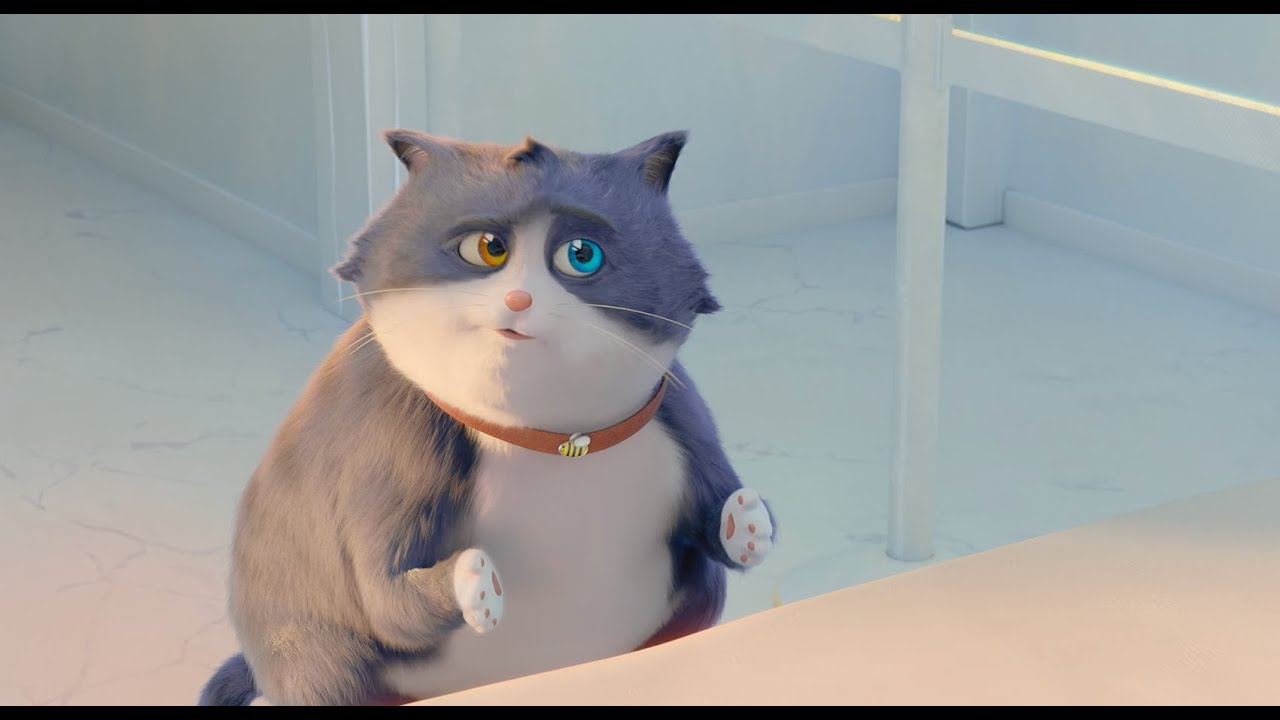 10 LIVES | Official Trailer - YouTube