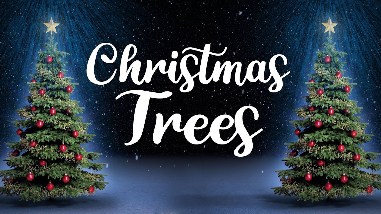 Christmas Trees | The Tree of Cursing - YouTube