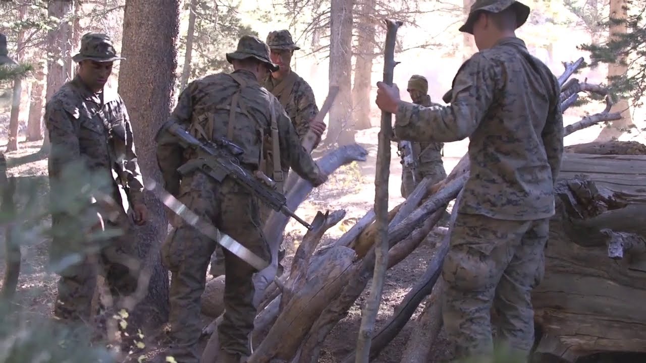 Marines Build Survival Shelters - YouTube