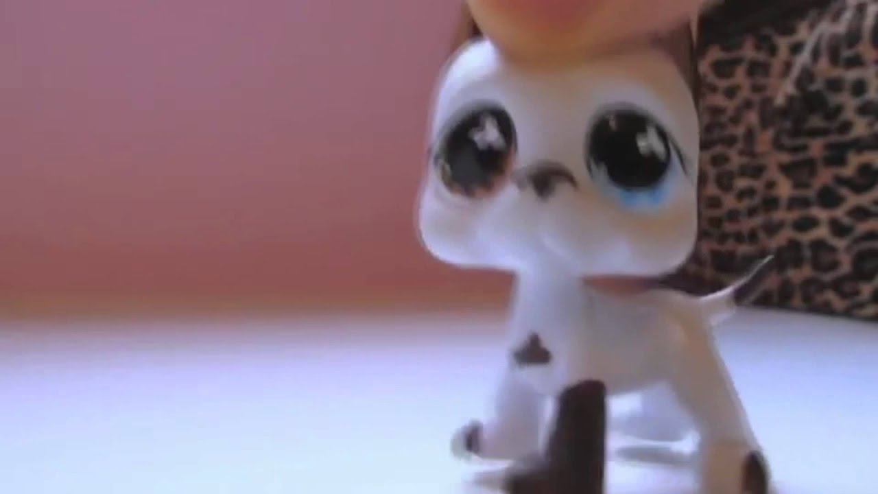 LPS Tom: My son Optimus Prime ~For SophieGTV~ - YouTube