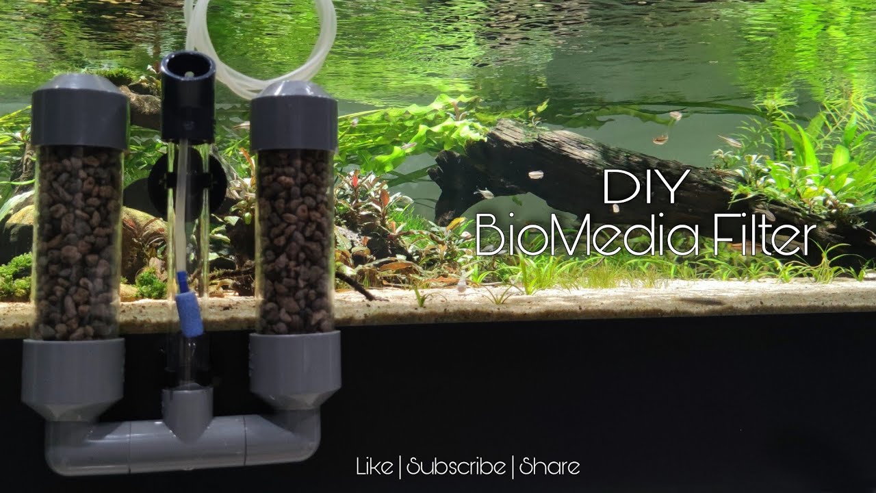 DIY BioMedia Filter [Tutorial] - YouTube