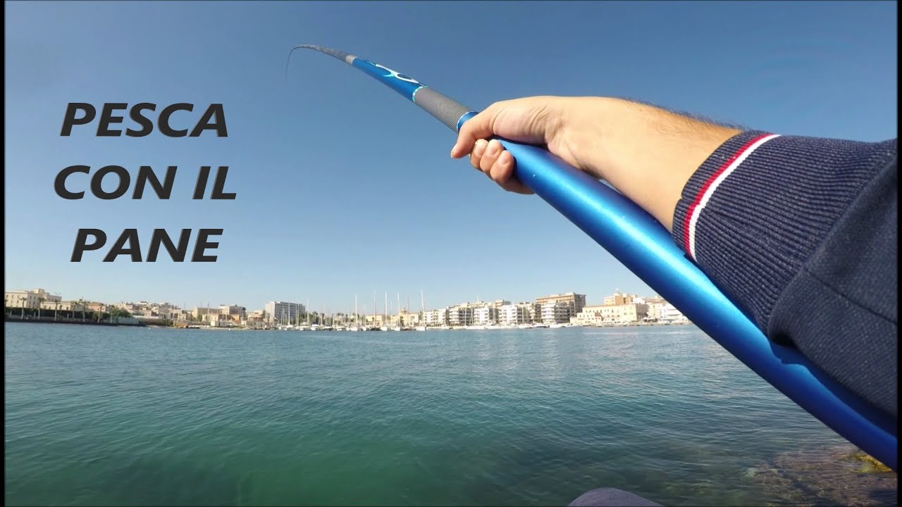 Canna Fissa, Mollica di Pane e ci si Diverte a Pesca con Cefali, Salpe ...