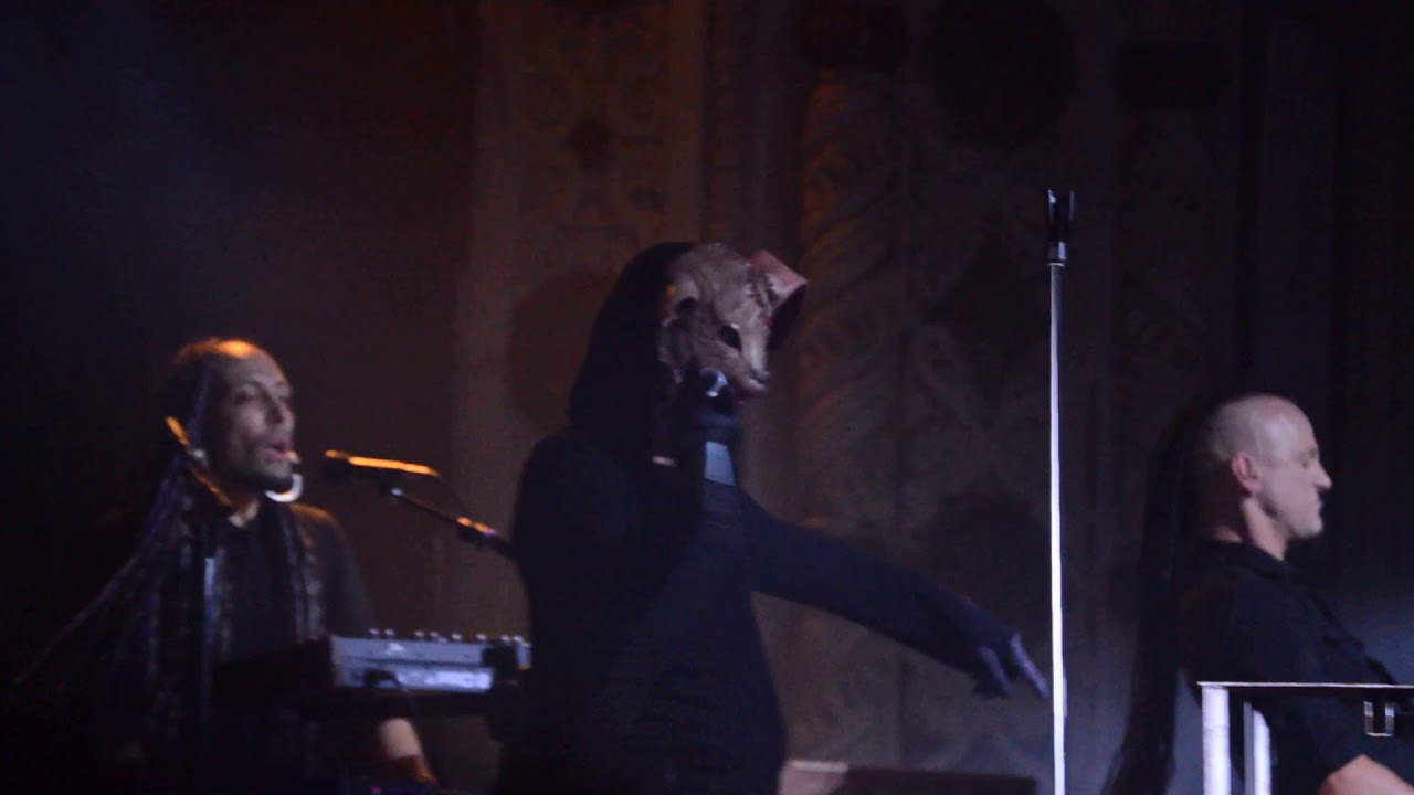 ohGr - Cracker Live at Cold Waves VII - YouTube