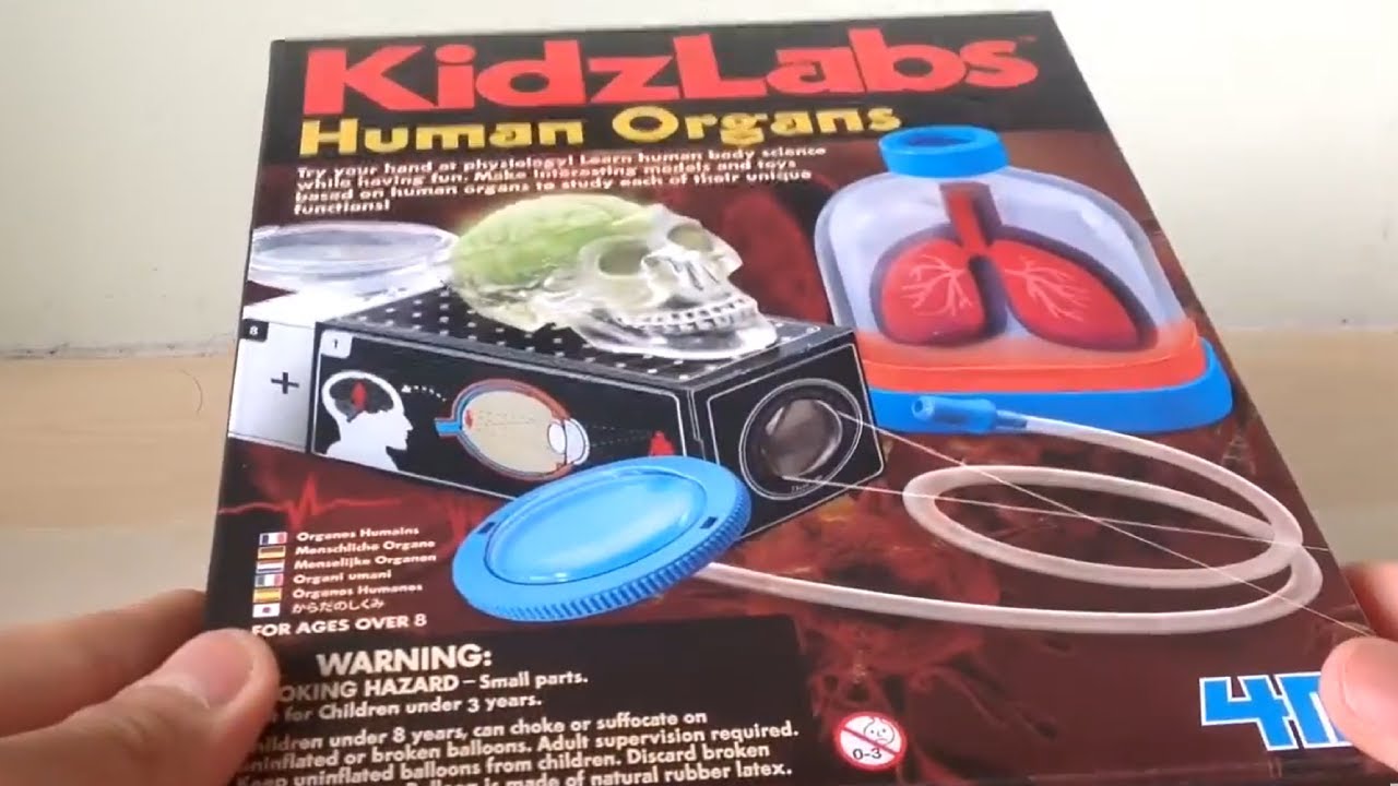 KidzLabs Human Organs 1 - Unboxing - YouTube
