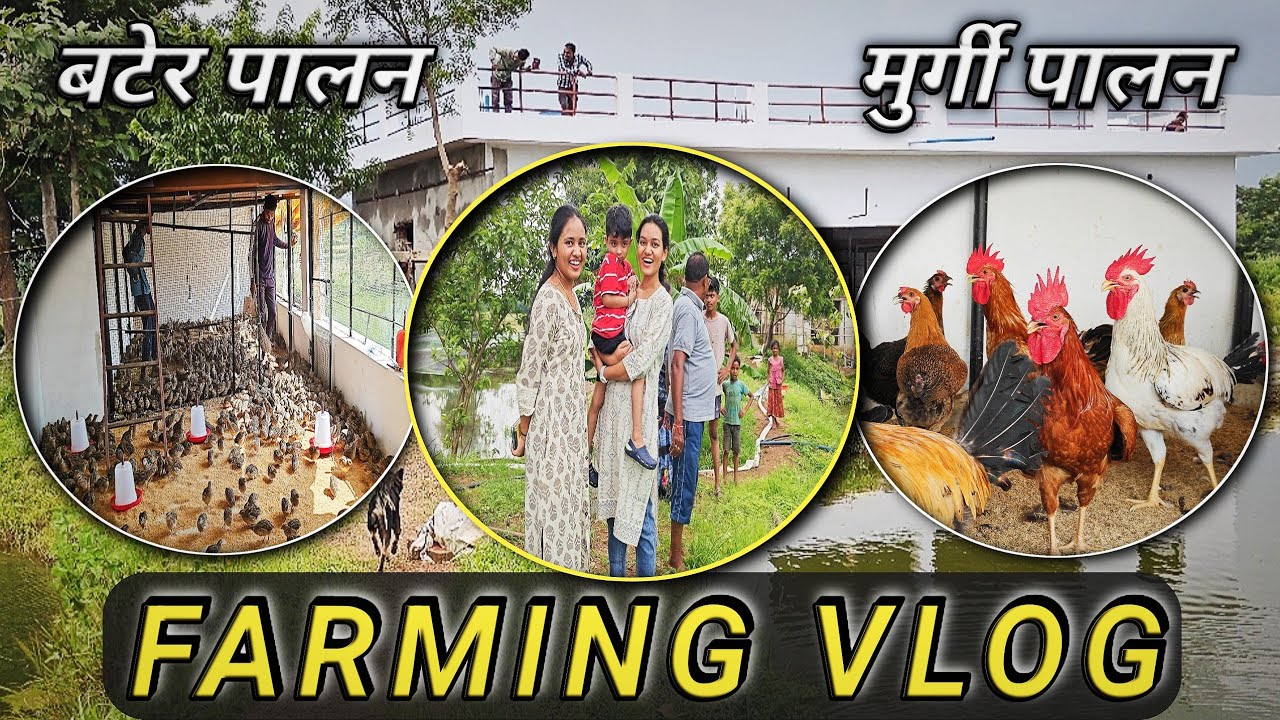 Best Animal Farming in india #snehil360 #poultryfarm #farmingvlog 🐓🐠🙋# ...