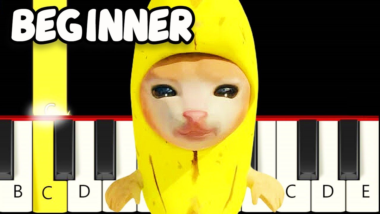 Banana Cat Meme Song (My Happy Song, Happy Happy) - Fast and Slow (Easy ...