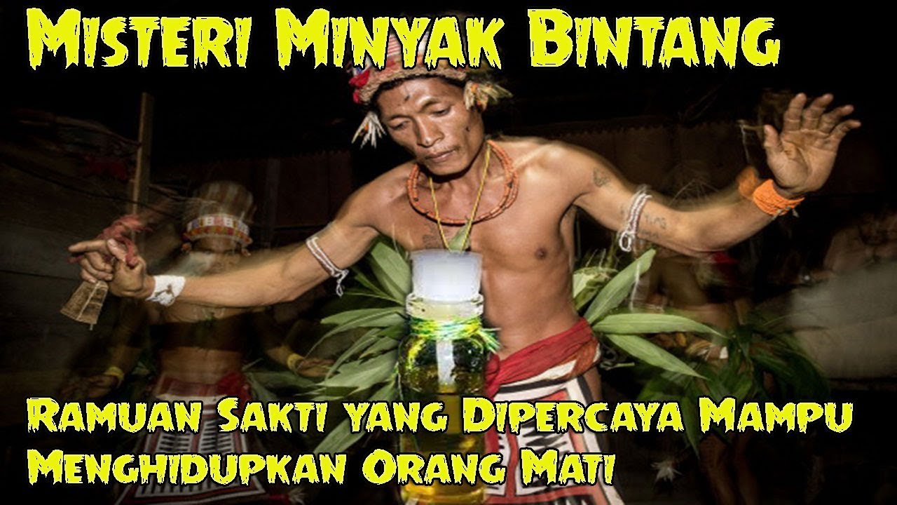 Misteri sejarah minyak bintang suku dayak dan Fungsi Minyak Bintang ...