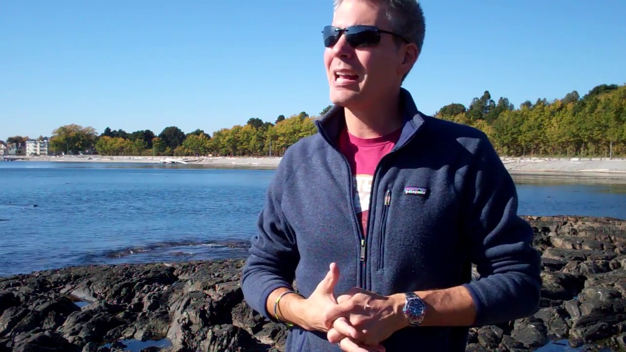 Grateful Dead - Seaside Chat: Dave's Picks 2019 Subscriptions - YouTube