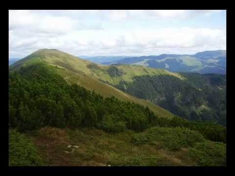 Nusret Kaya - Kadınlar İçin Alt Beyin Çalışması