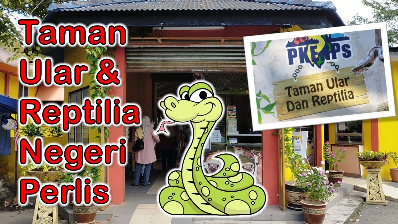 Taman Ular dan Reptilia Negeri Perlis I Tempat Menarik di Perlis - YouTube