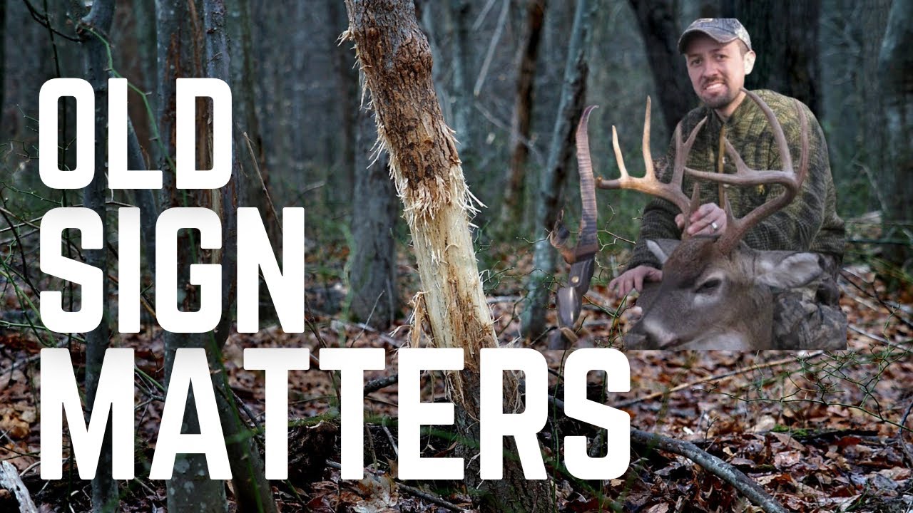 SCOUTING WHITETAILS|NATHAN KILLEN|Old Sign Mattters|Traditional ...
