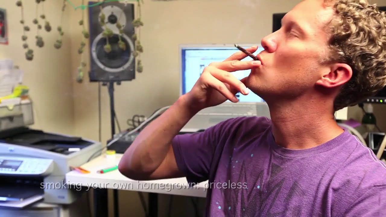 Priceless Homegrown Weed - Mastercard Spoof - YouTube
