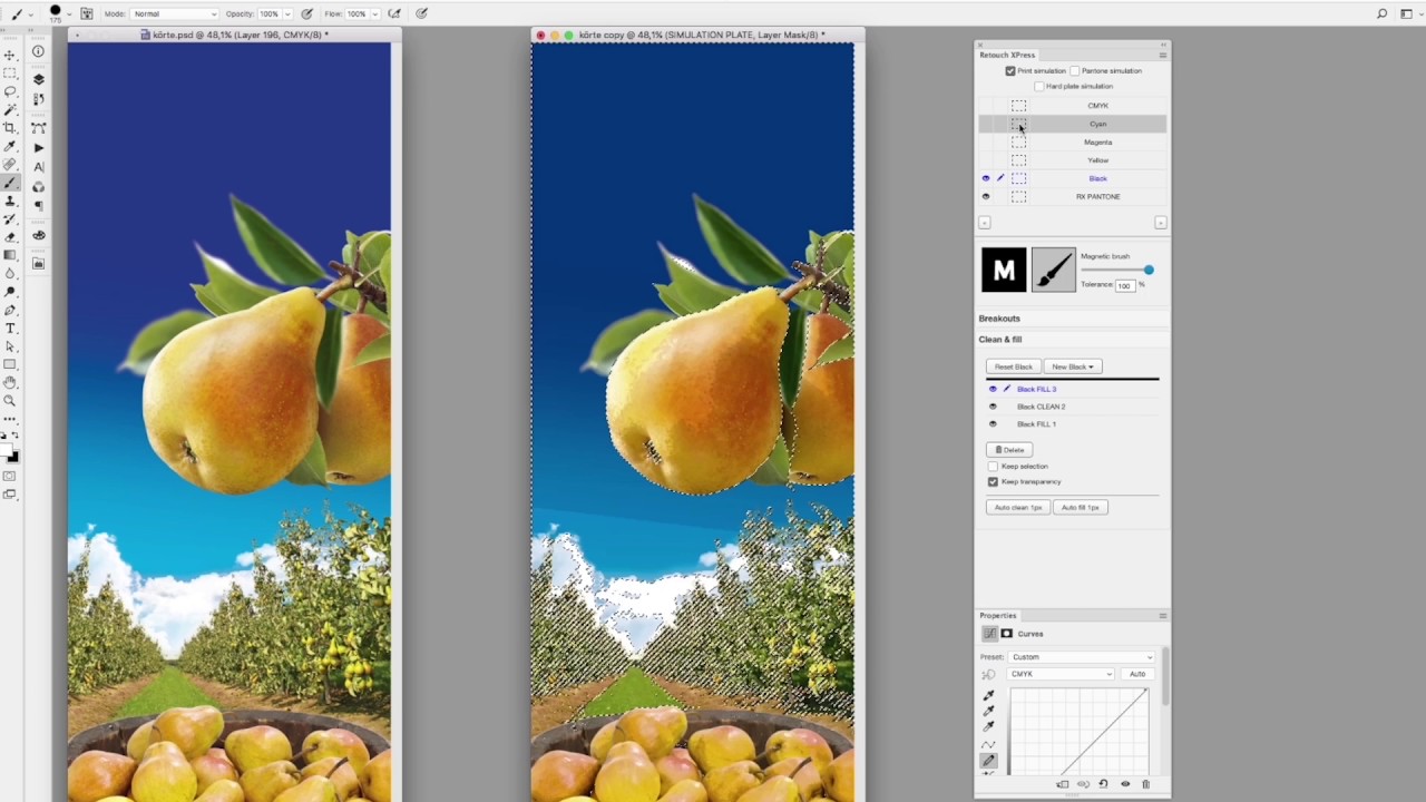 RetouchXpress - Realtime flexo-prepress retouching session - YouTube
