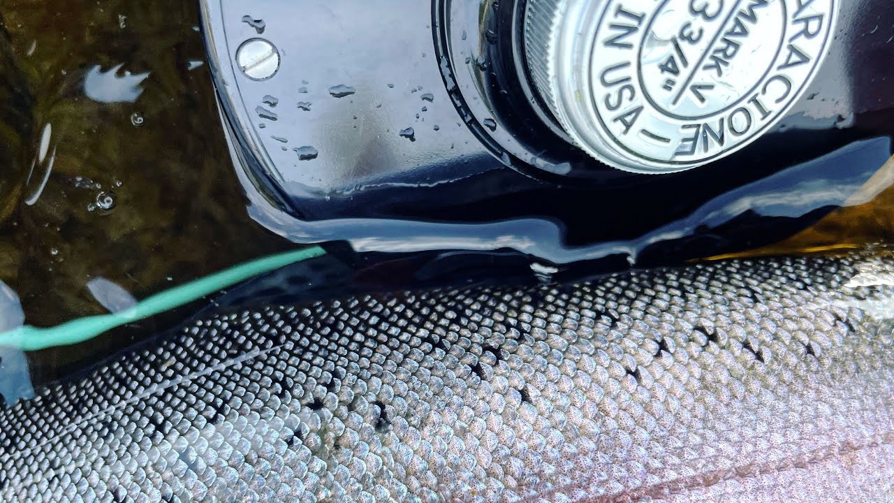 Teshio river Hokkaido 天塩川 本流レインボー / slow fishing - YouTube