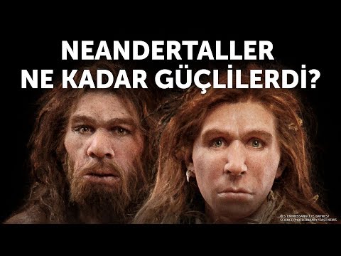 Kim Kazanırdı: İnsan mı Neandertal mi