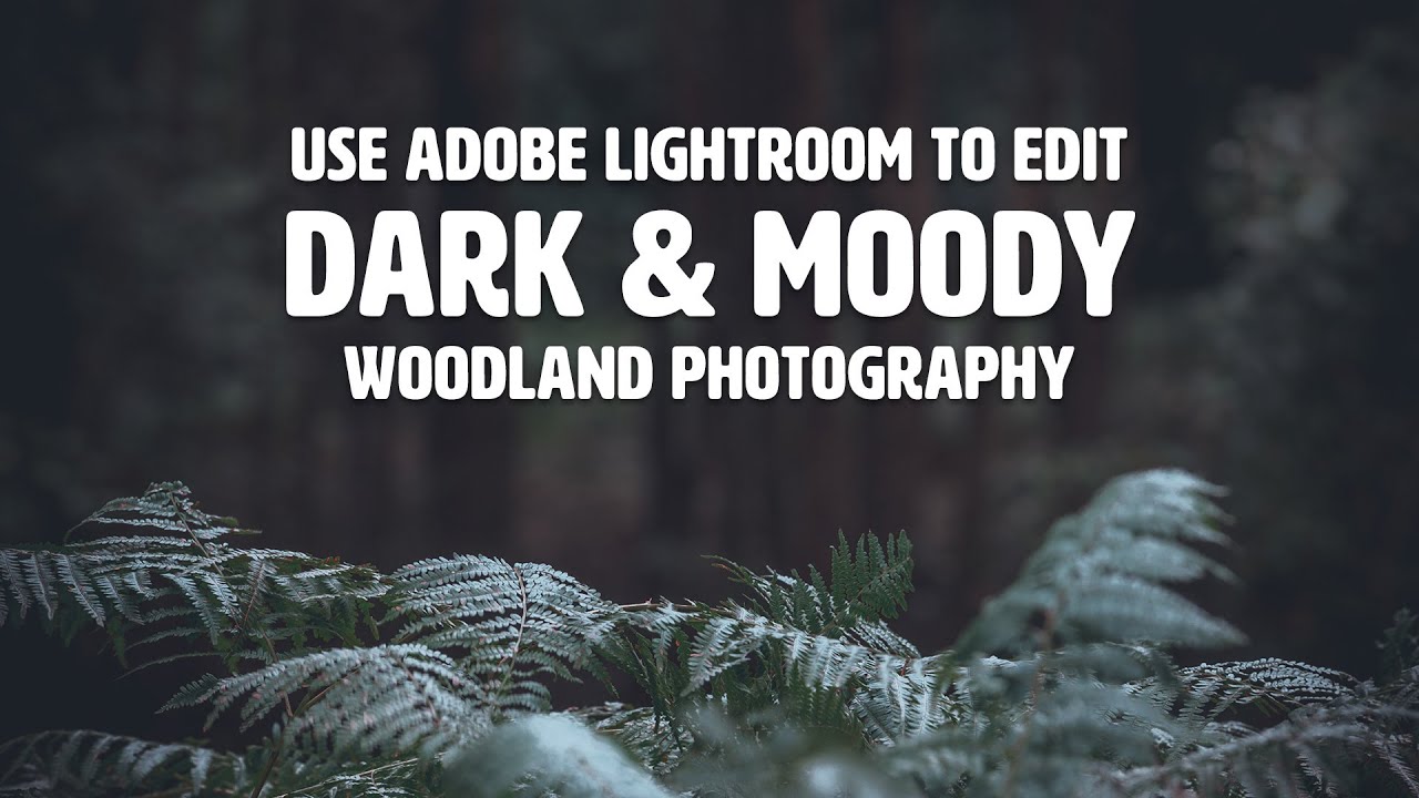 How to create DARK AND MOODY TONES for woodland photography in Adobe ...