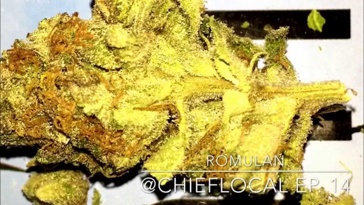 ROMULAN Strain Review - YouTube