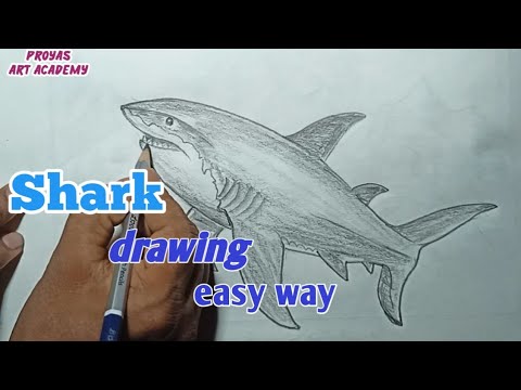 How to draw a Shark step by step | Shark drawing with pencil shade ...
