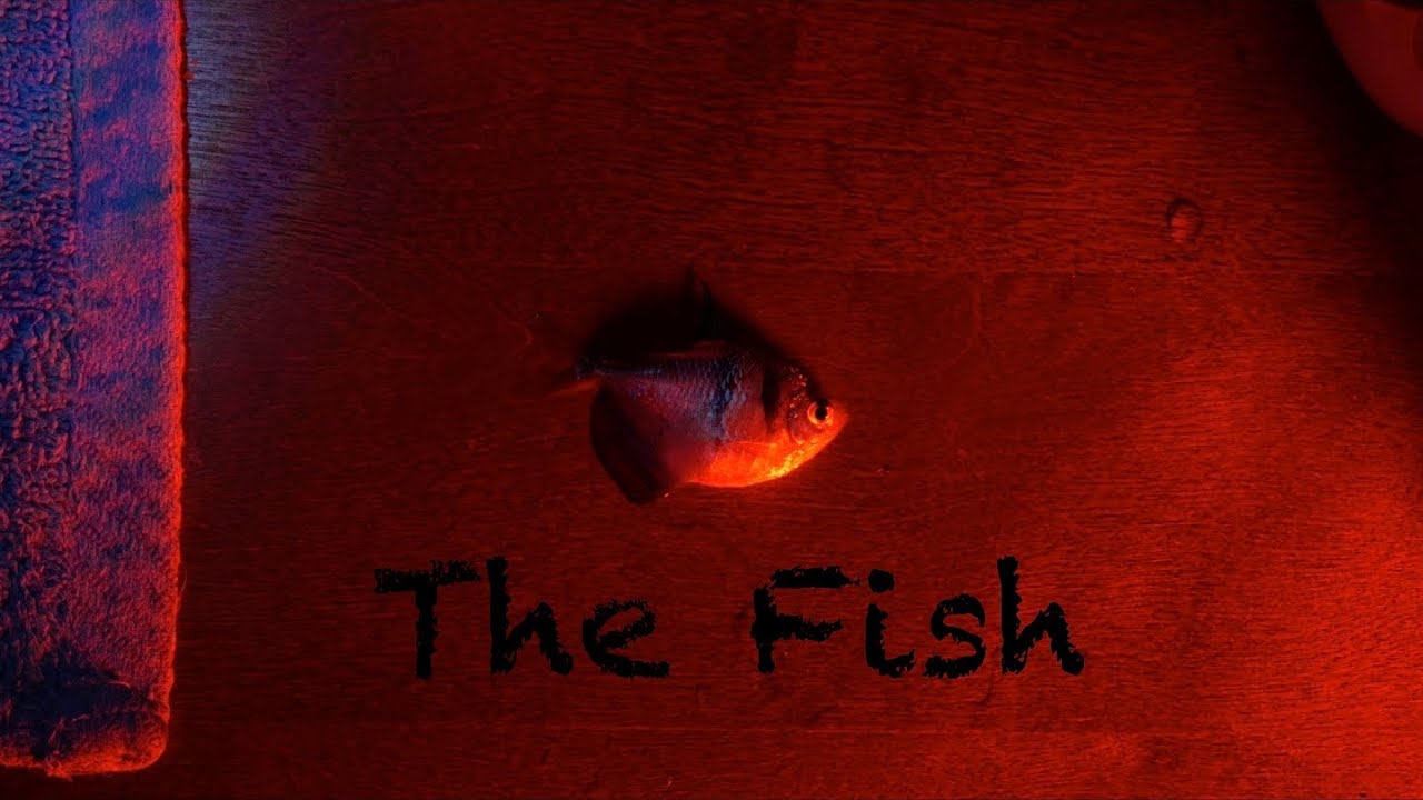 The Fish (A Short Horror Film) - YouTube