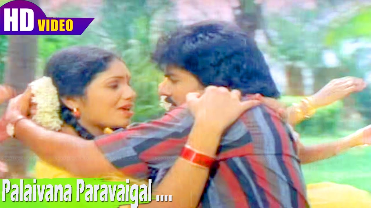 Palaivana Paravaigal Full Songs | Ilayagangai | Malaysia Vasudevan, S ...