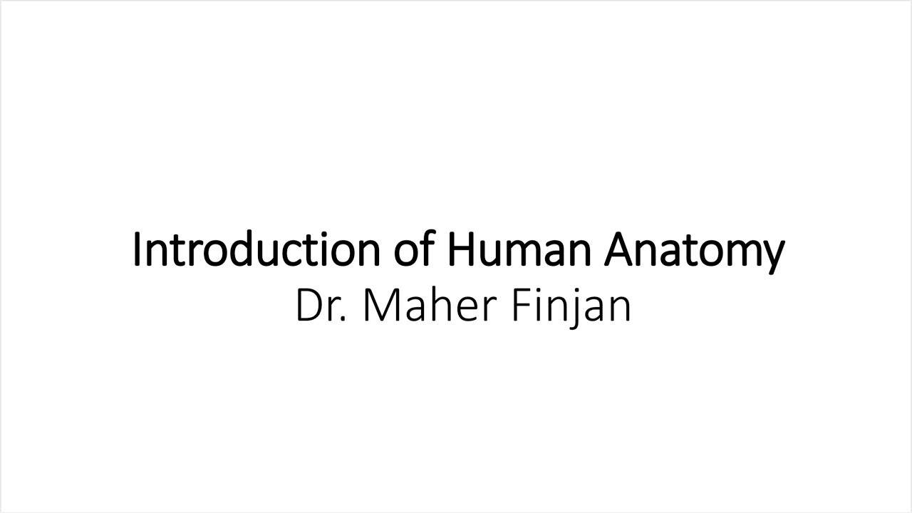 Introduction Anatomy - YouTube Introduction Anatomy - YouTube