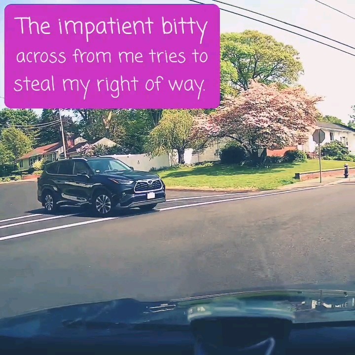 Old Bitty Doesn't Understand Stop Signs or Directionals - Idiots Caught ...