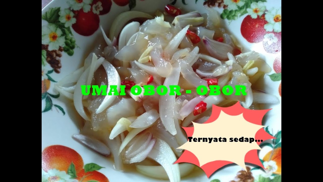 Umai Obor-obor | Jelly Fish - YouTube