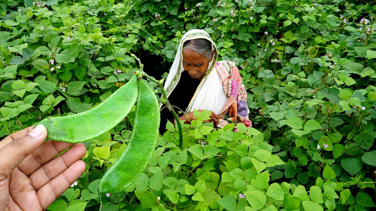Fresh Winter Sabji Collect and Cooking by our Grandmother | Mather ...