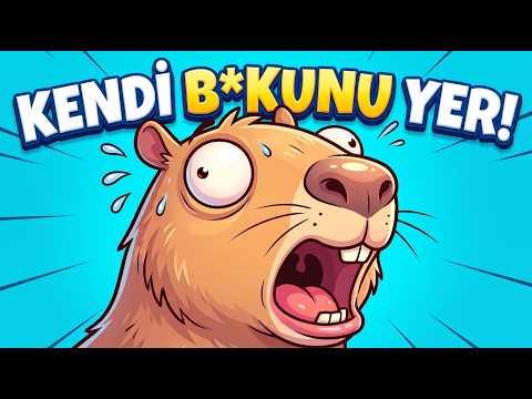 Bir Kapibara Olsaydın...