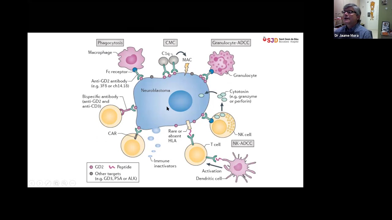 Naxitamab (hu3F8) Studies - YouTube
