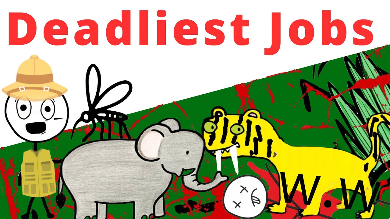 The Deadliest Jobs In The World YouTube the-deadliest-jobs-in-the-world-youtube