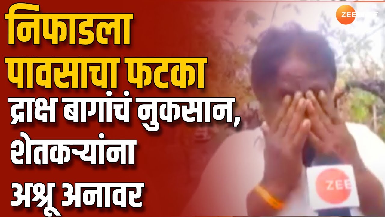 Niphad Grapes Loss | निफाडला पावसाचा फटका, द्राक्ष बागांचं नुकसान ...