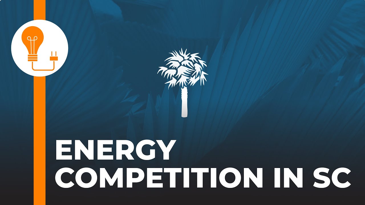Public Radio: Energy Competition in South Carolina - YouTube