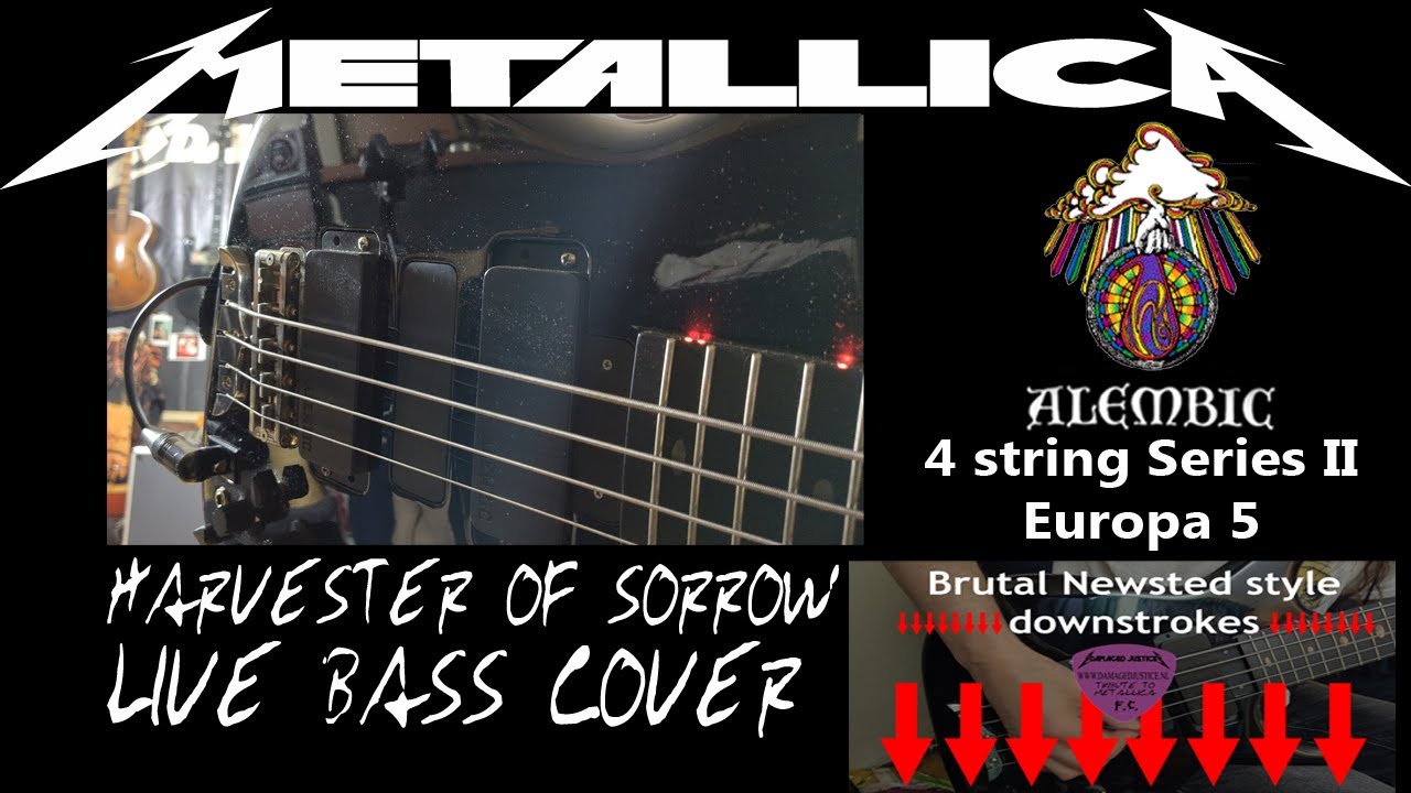 Harvester of Sorrow live bass cover, 4 string Alembic Series II Europa ...